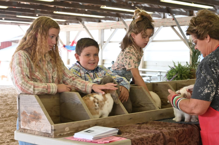 Rabbits show off and engines roar as Dayton Fair carries forth ...