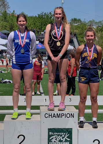 Armstrong County track and field athletes come up big at WPIAL ...