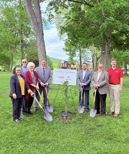 Liberty Tree planted in Ford City Memorial Park | News | leadertimes.com