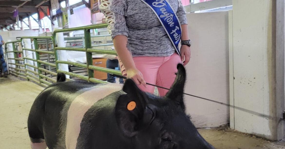 Great Dayton Fair enters final day with passel of proud moments | News ...