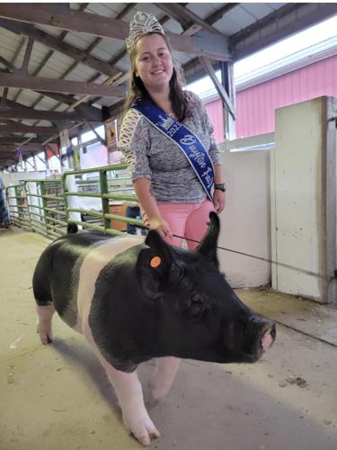Great Dayton Fair enters final day with passel of proud moments | News ...