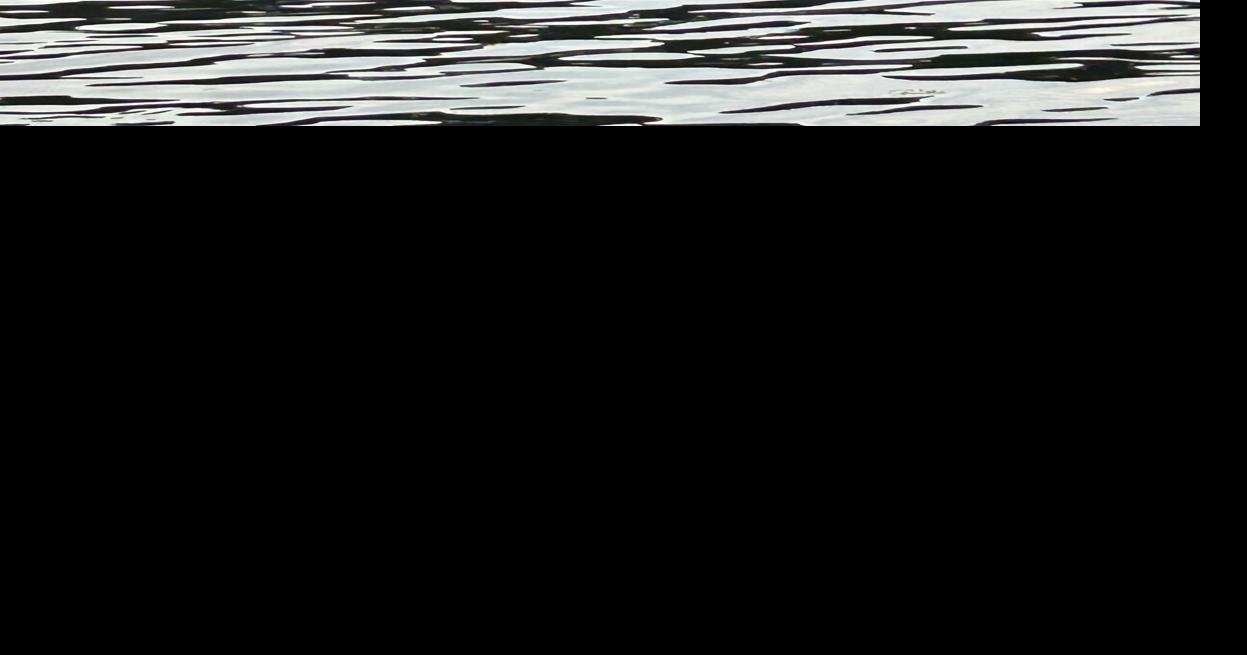 Taking to the river as Kittanning Boat Races kick off | News ...