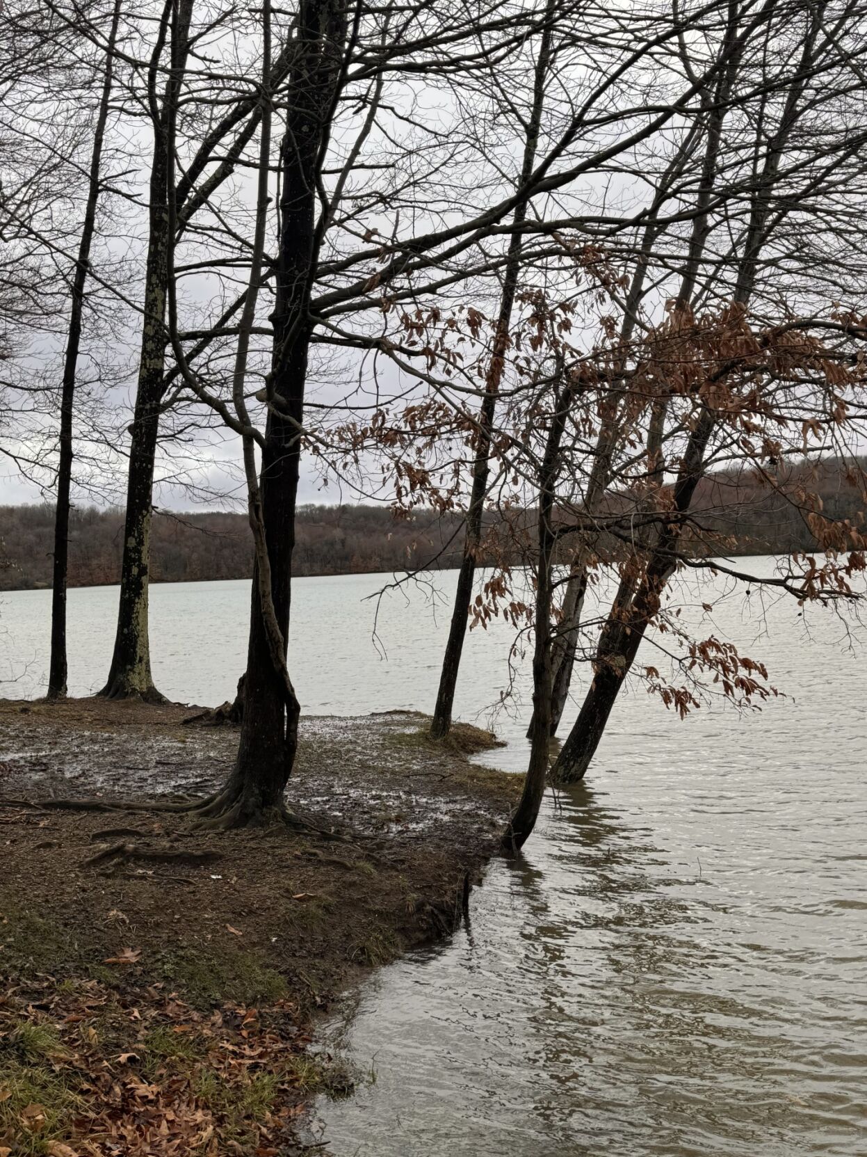 Waters rise at Keystone Lake | News | leadertimes.com