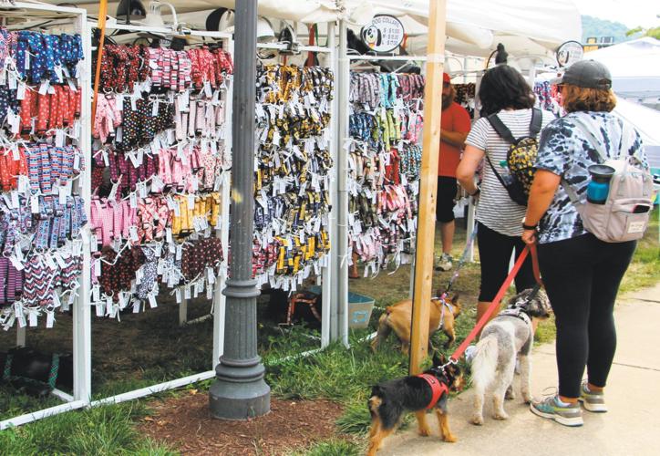 MORE FORT ARMSTRONG FOLK FESTIVAL MOMENTS | Front-page | leadertimes.com