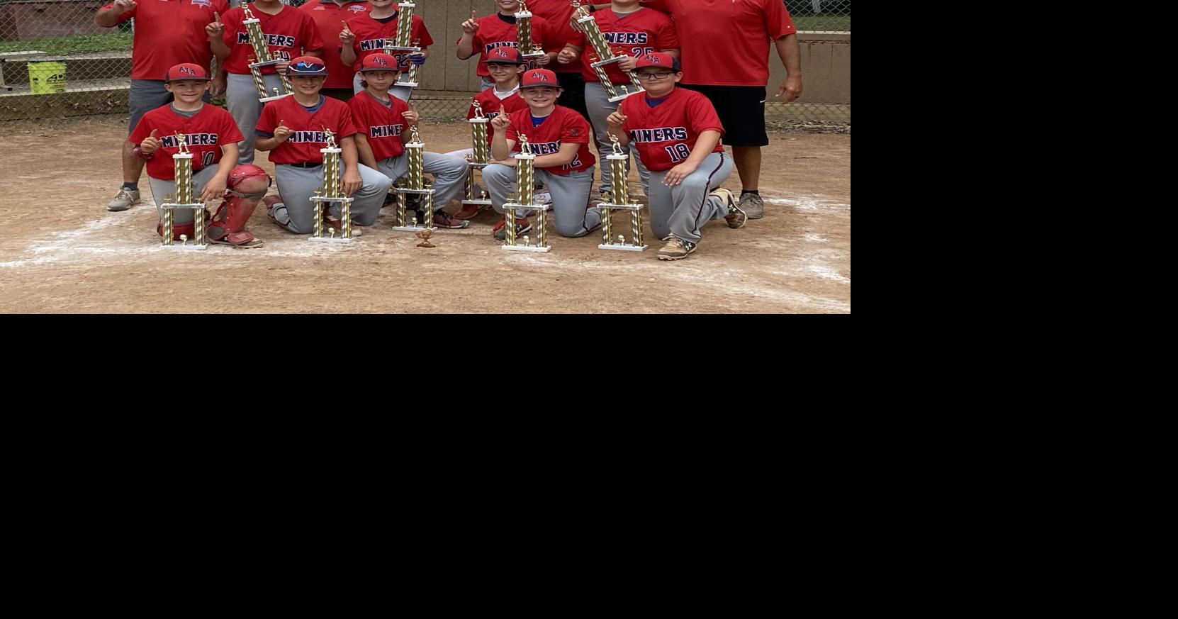 AIA 12U Baseball Team Captures Another Tournament Victory | Sports ...