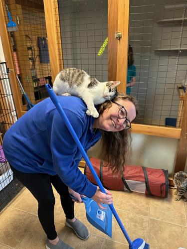 TGIF Solutions details its path to giving | News | leadertimes.com