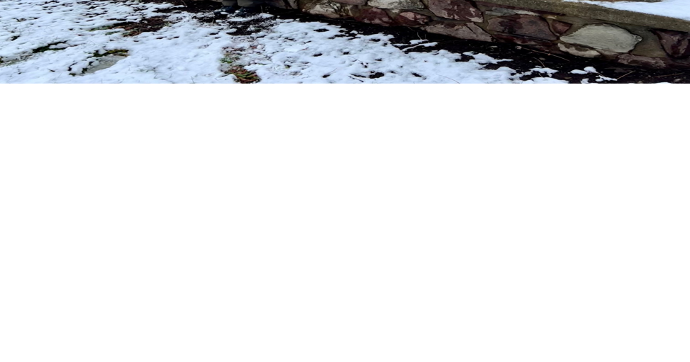 DCNR announces new manager for Mount Pisgah State Park | News ...