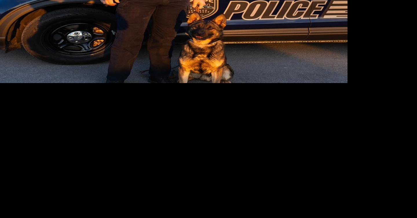 LPD welcomes new K9 Falco | Lebanon | lebanondemocrat.com