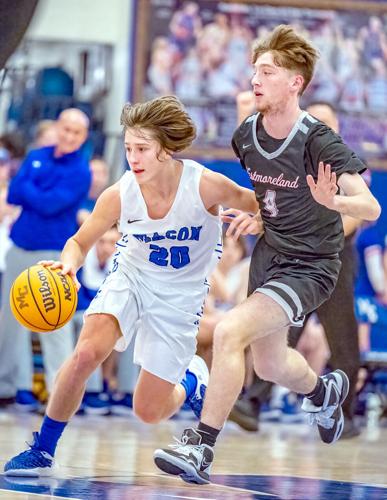 Tigers drop three contests | Sports | lebanondemocrat.com