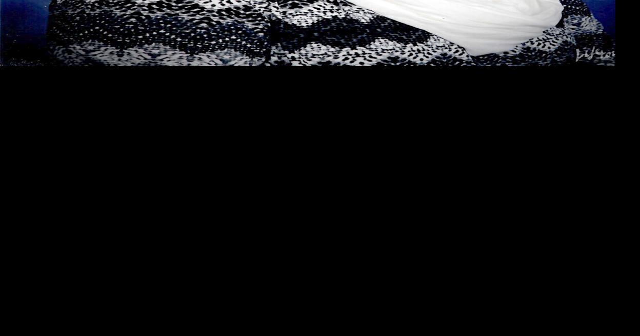 Nancy Dianne Russell Young | Lebanon | lebanondemocrat.com