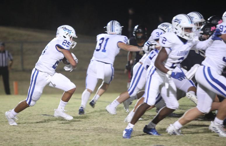Blue Devils make it back-to-back over Bears | Sports | lebanondemocrat.com