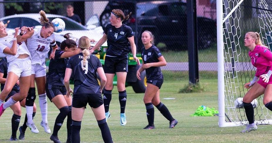 Campbell's late-game heroics give Phoenix 3-2 win | Sports ...