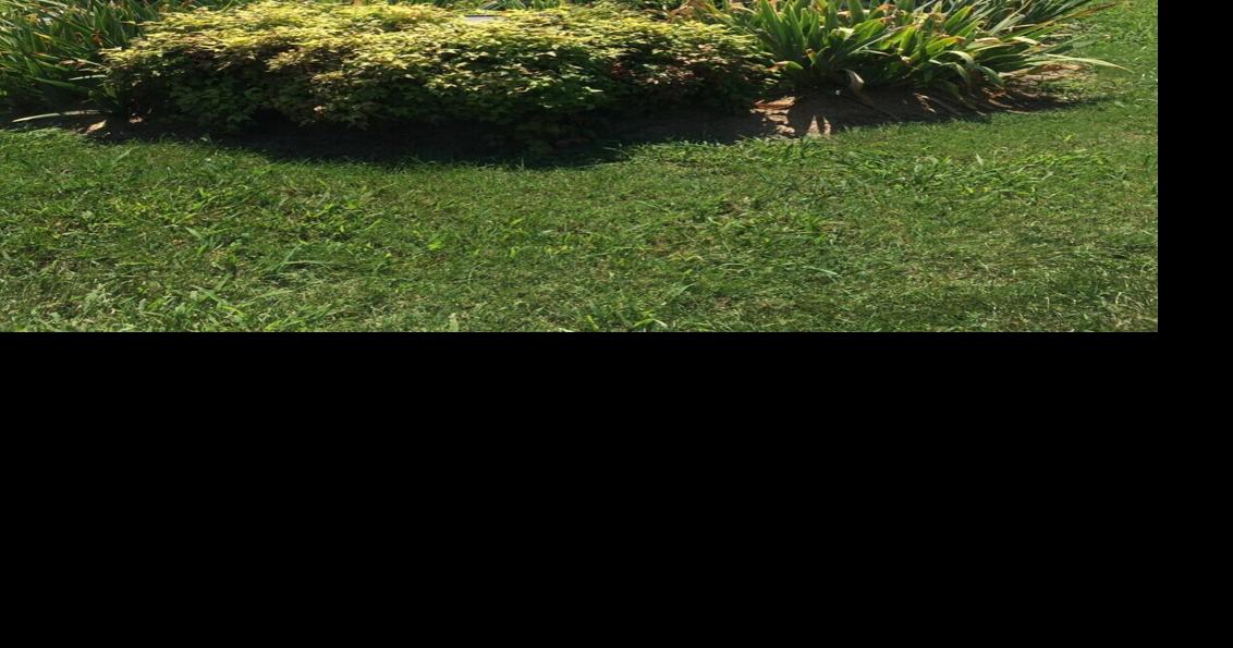 Lebanon-WIlson County Library launching Autism inclusive programs ...