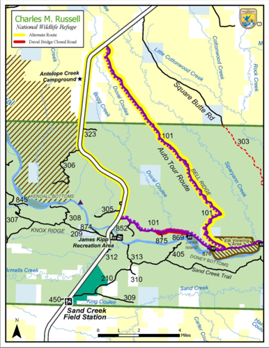 Unexpected detour: Elk viewers will need to take the long way to ...