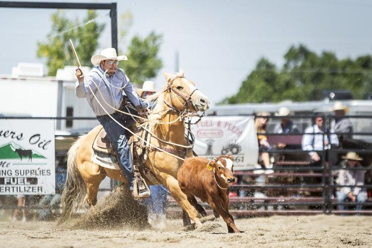 Scenes from the 59th Annual CMR Stampede PRCA Rodeo | Sports ...