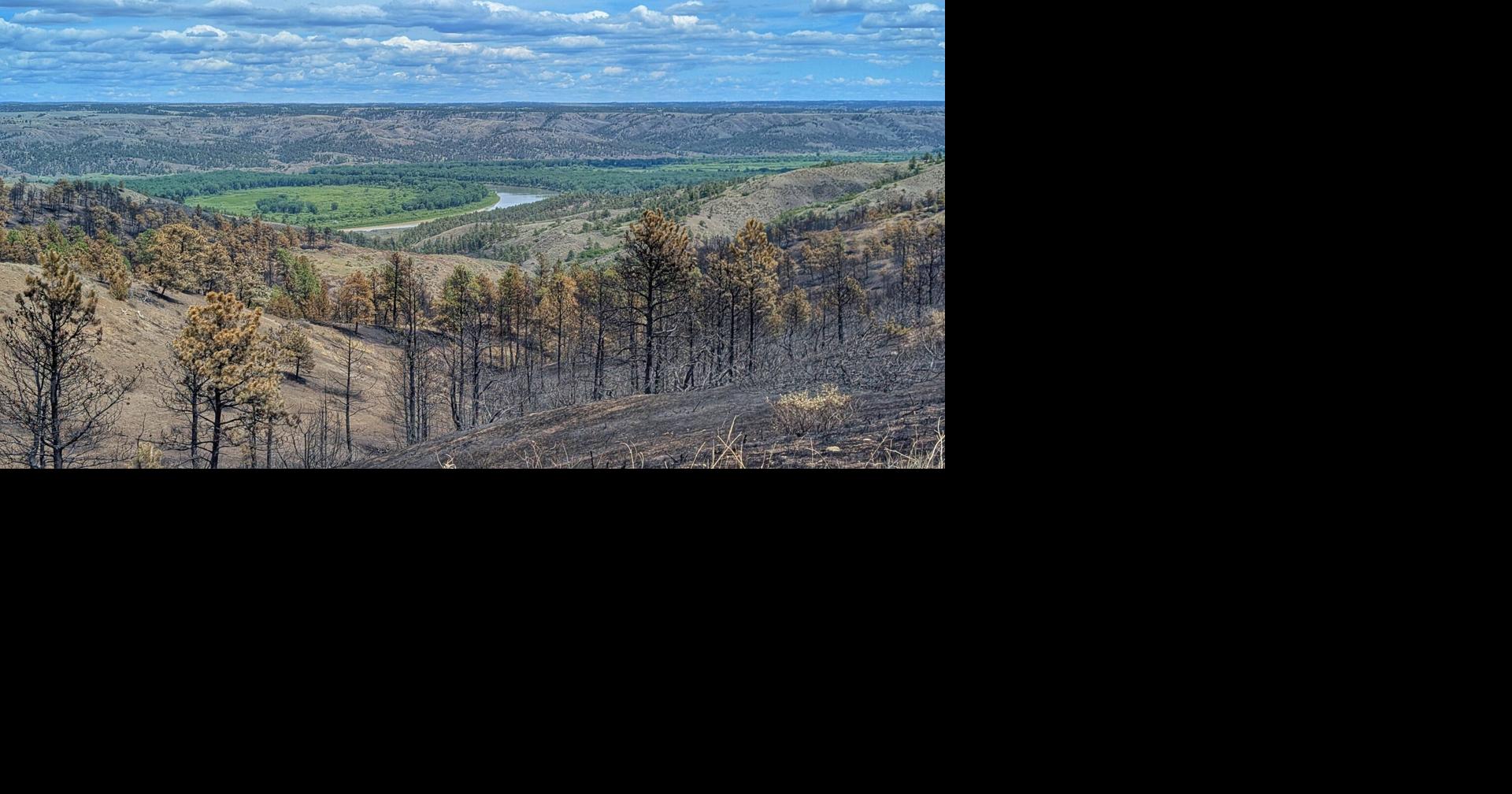 Wilder Fire in northeastern Fergus County over 50% contained | News ...