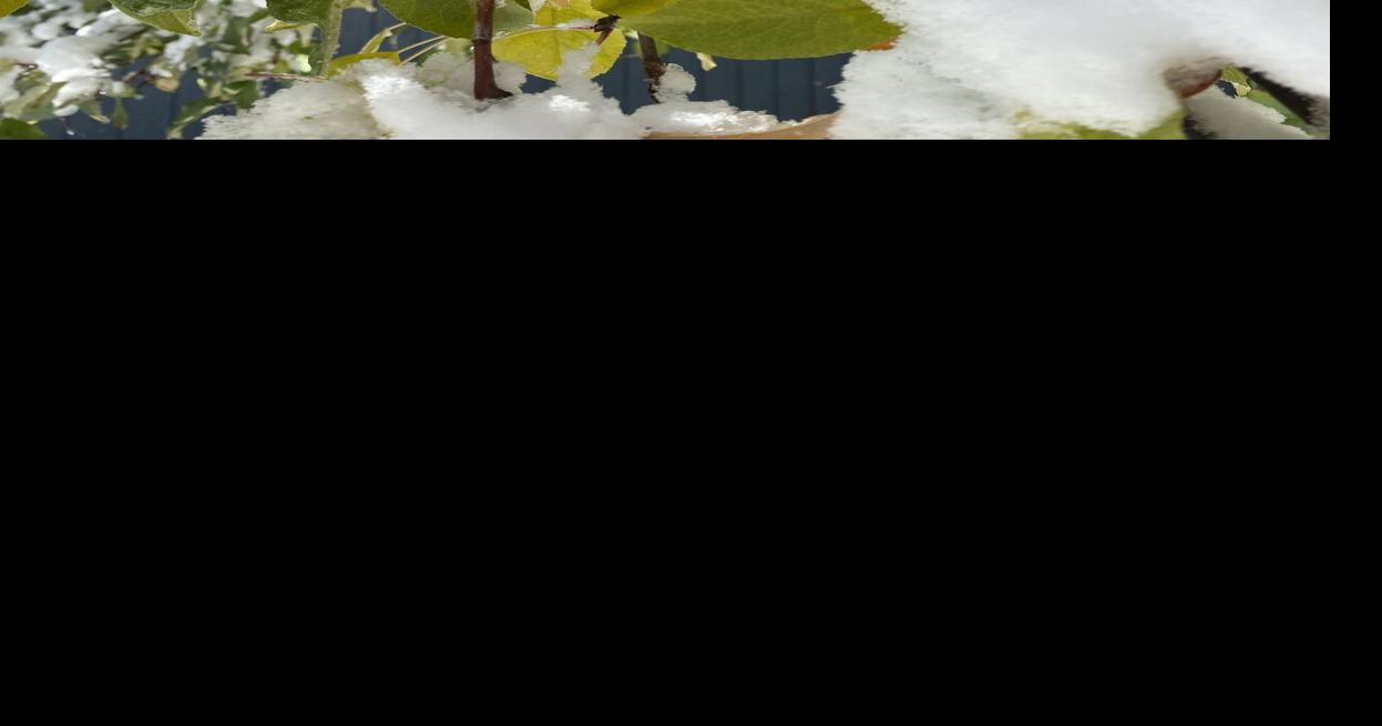 Warm weather coming to an end as winter storm pattern emerges | News ...