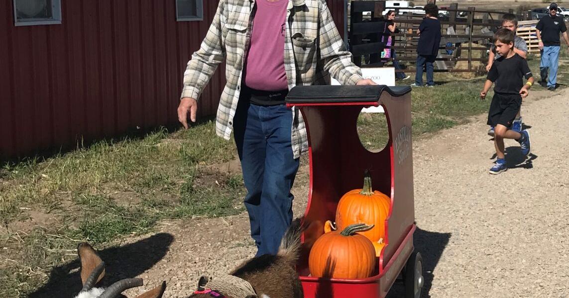 Farm in the Dell Fall Festival set for next weekend | News ...