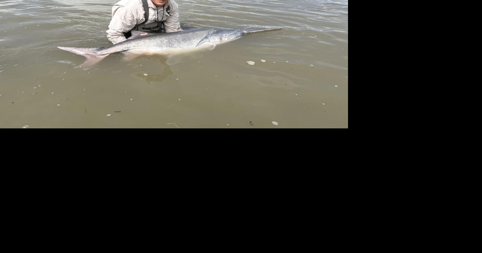 Central Montana anglers reckon with low river flows as paddlefish ...