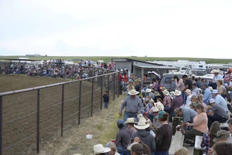 Roy Open Rodeo results | Sports | lewistownnews.com