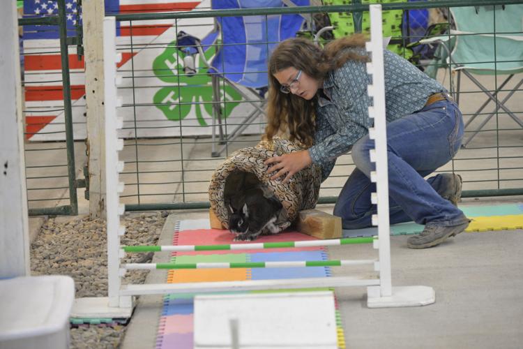 CENTRAL MONTANA FAIR: Tuesday, July 25 | News | lewistownnews.com