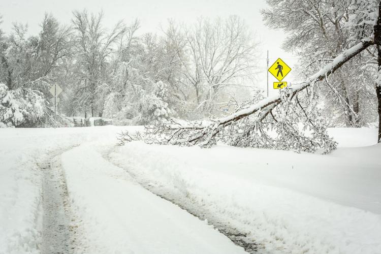 Lewistown Snow Day | News | lewistownnews.com