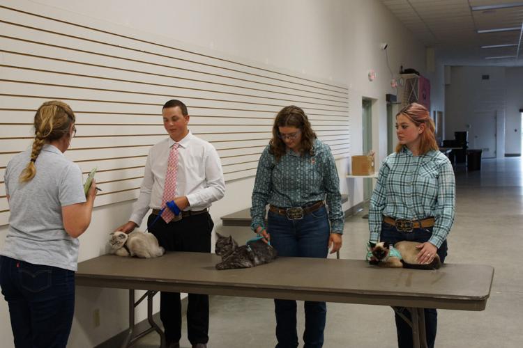CMTFAIR 2024: Pocket Pets and Cat Show | News | lewistownnews.com