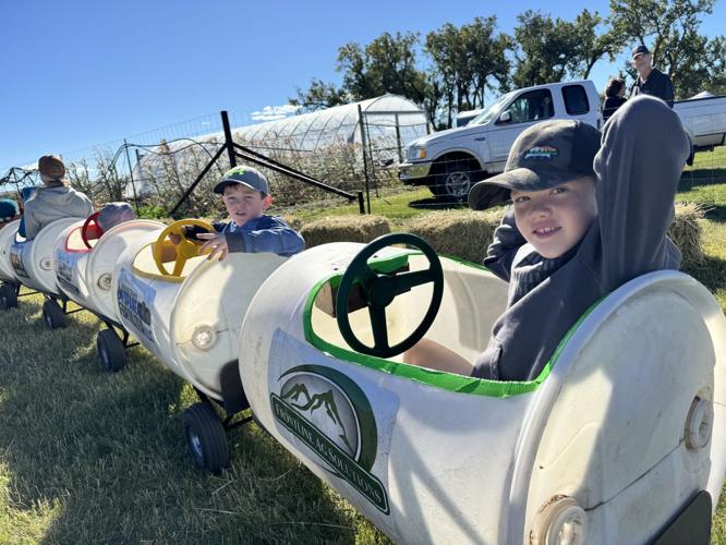 'Gourd times' roll at Farm in the Dell fall festival | News ...