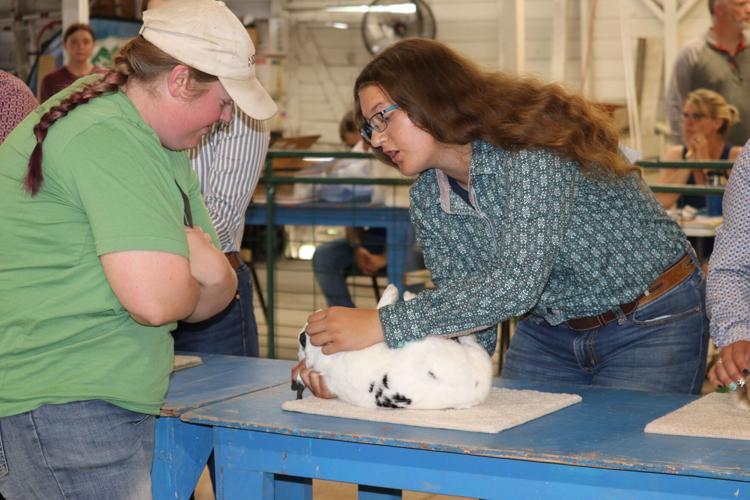 CENTRAL MONTANA FAIR PHOTOS: Monday, July 24 | News | lewistownnews.com