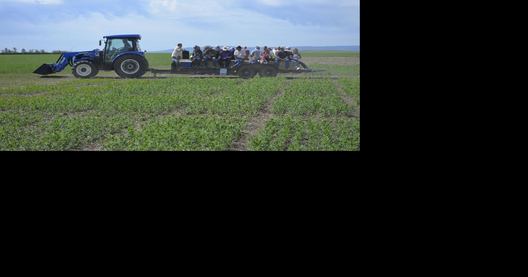 Central Ag Research Center hosts annual research tour in Moccasin ...