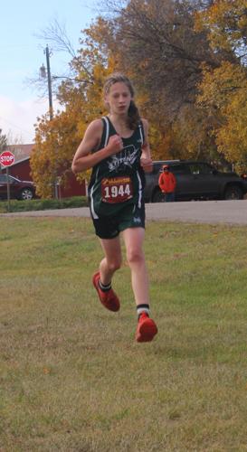 Titan boys finish ninth at state cross-country | Sport | lewistownnews.com