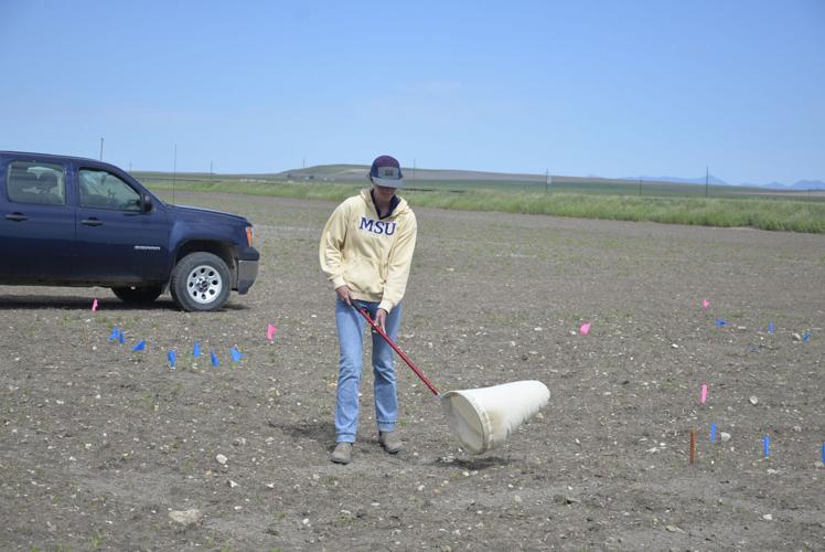 Central Ag Research Center hosts annual research tour in Moccasin ...