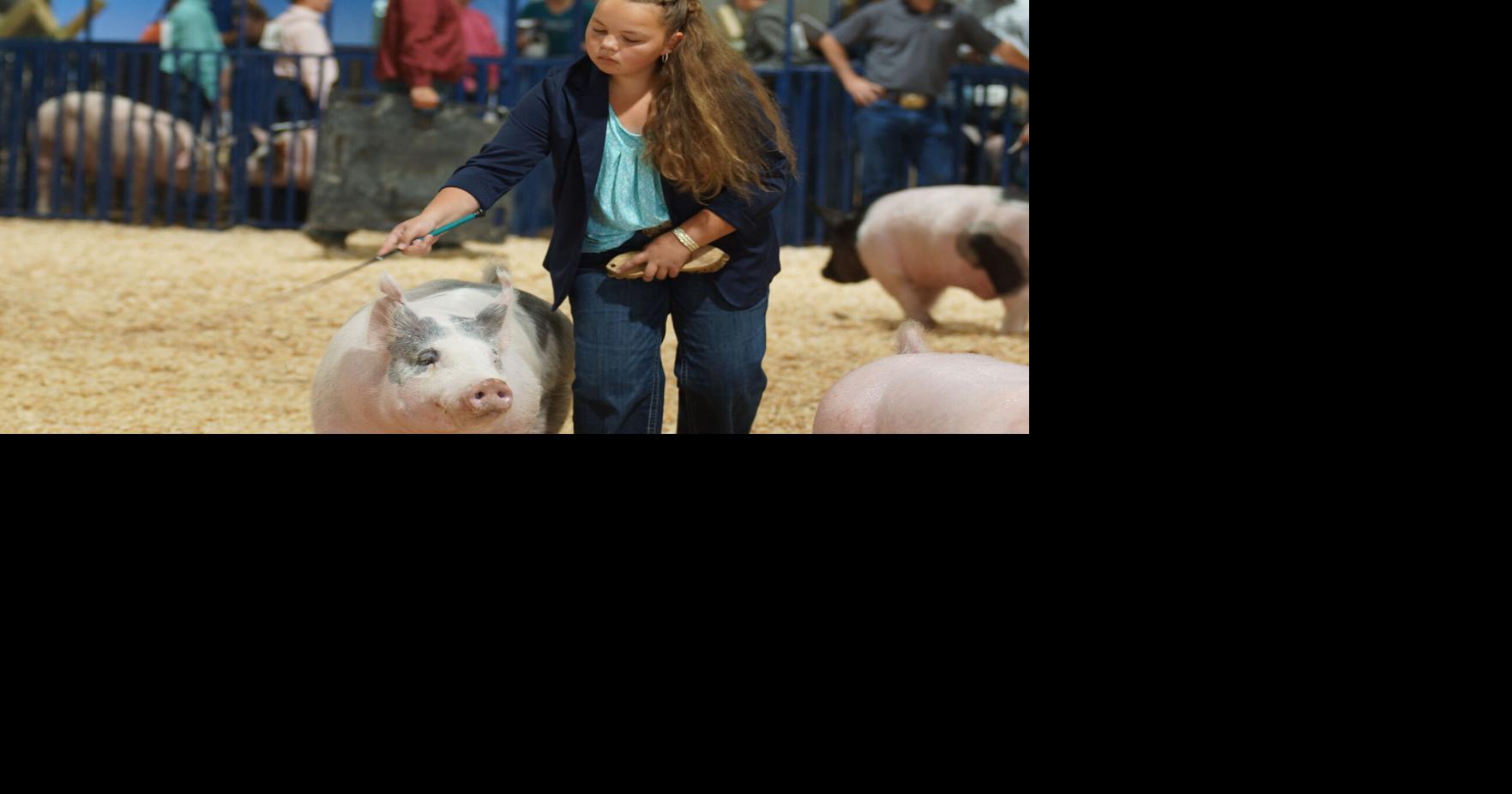 Nathan, Alex and Macy Long pit their pigs against each other at Central ...