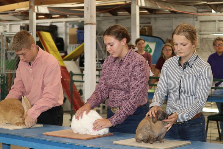 CENTRAL MONTANA FAIR PHOTOS: Monday, July 24 | News | lewistownnews.com
