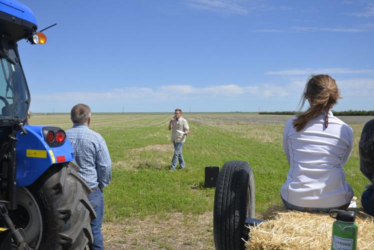 Central Ag Research Center hosts annual research tour in Moccasin | News | lewistownnews.com