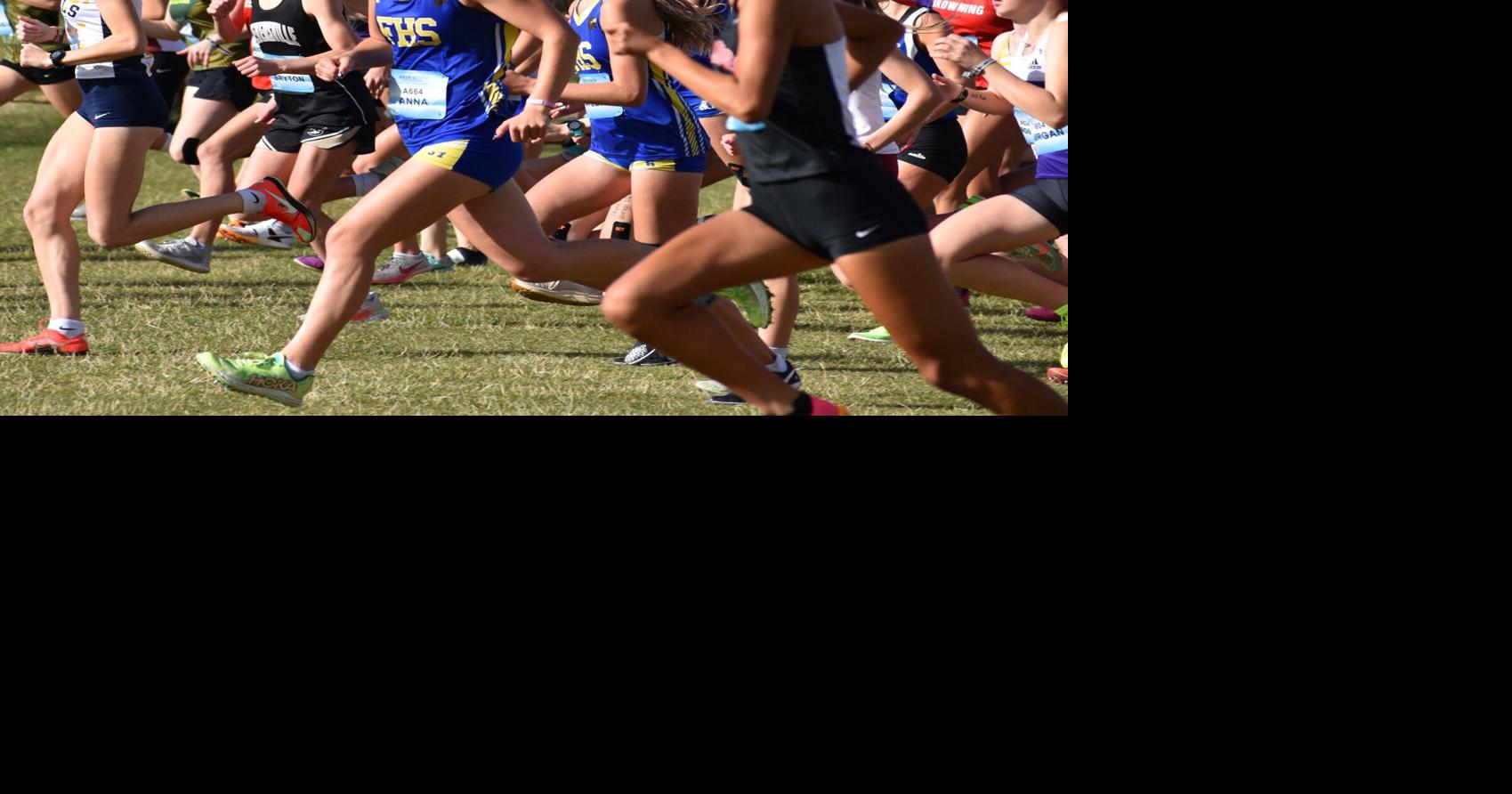 Led by two freshmen, Golden Eagles complete season at state cross ...