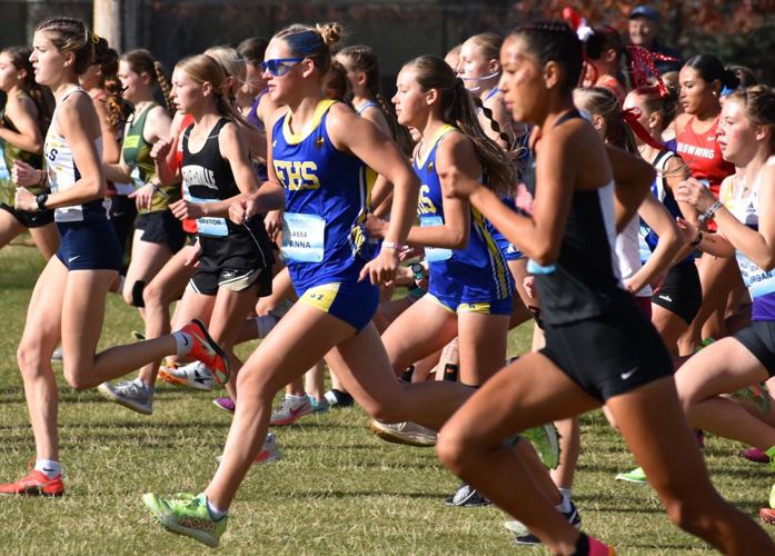 Led by two freshmen, Golden Eagles complete season at state cross ...