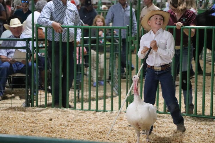 SPOTLIGHT: Roy fifth grader loves animals, travel, science and math ...