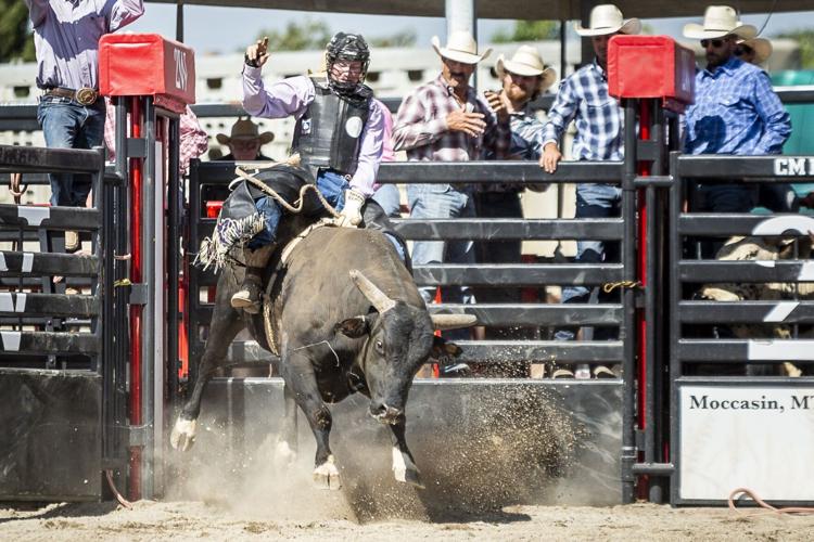 Saddled up in Stanford: Big turnout for the 59th annual CMR Stampede ...