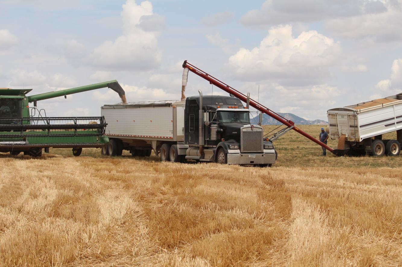 Bushel survey gives overview of farm management strategies | News ...
