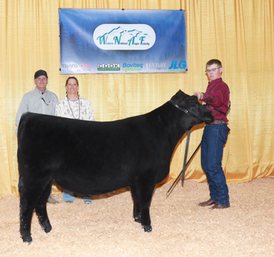 Gillett Busy with NILE Merit Heifer | News | lewistownnews.com