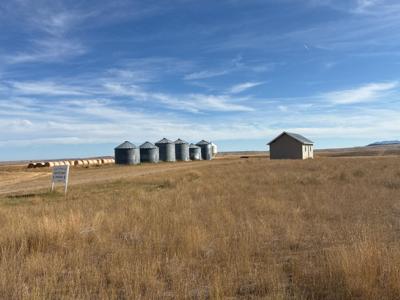 Commissioners support Denton-area farm for conservation easement | News ...