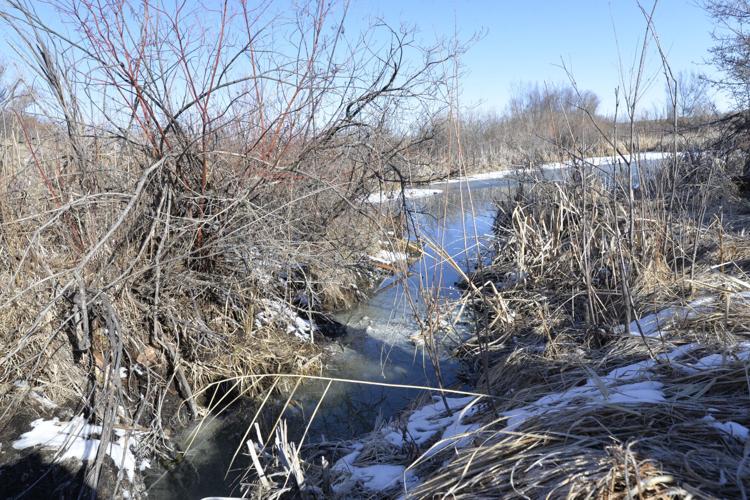Watershed Council seeks answers on potential Spring Creek contamination ...