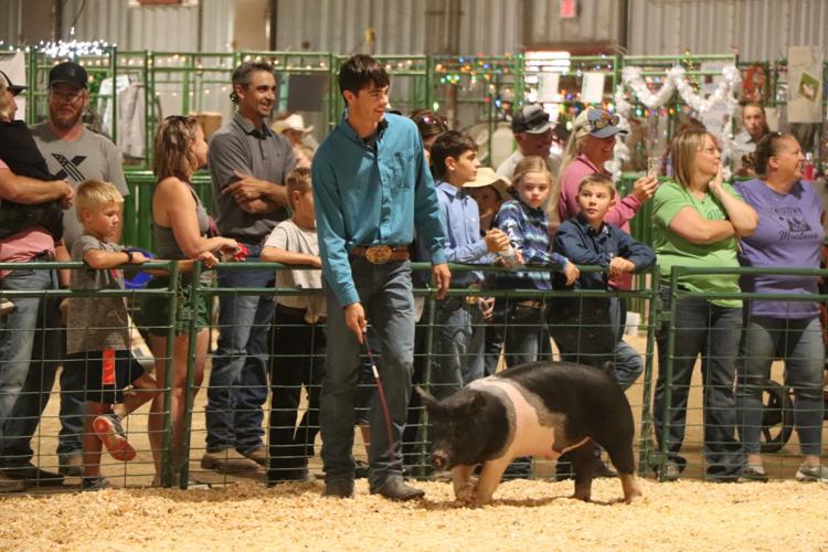 CENTRAL MONTANA FAIR: Wednesday, July 26 | News | lewistownnews.com