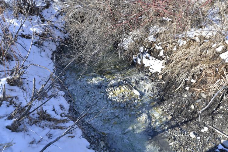 Watershed Council seeks answers on potential Spring Creek contamination ...
