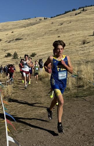 Led by two freshmen, Golden Eagles complete season at state cross ...