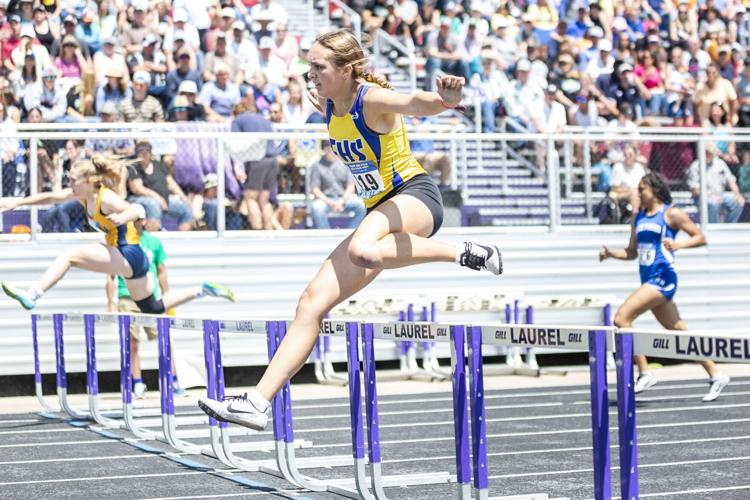 Fergus athletes reach the podium at state track and field meet | Sports ...