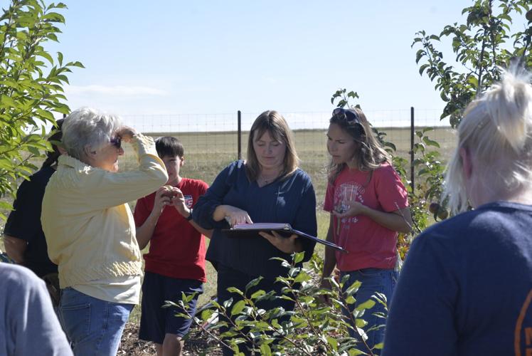 Fruits of labor: Orchard tour offers insight into growing fruit trees ...