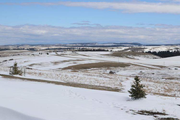 Spring snow improves moisture outlook in Central Montana | News ...