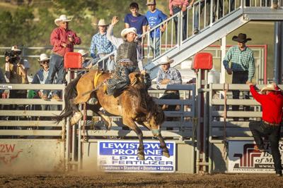 Fair board to add more handicap parking, 400 registered for rodeo ...